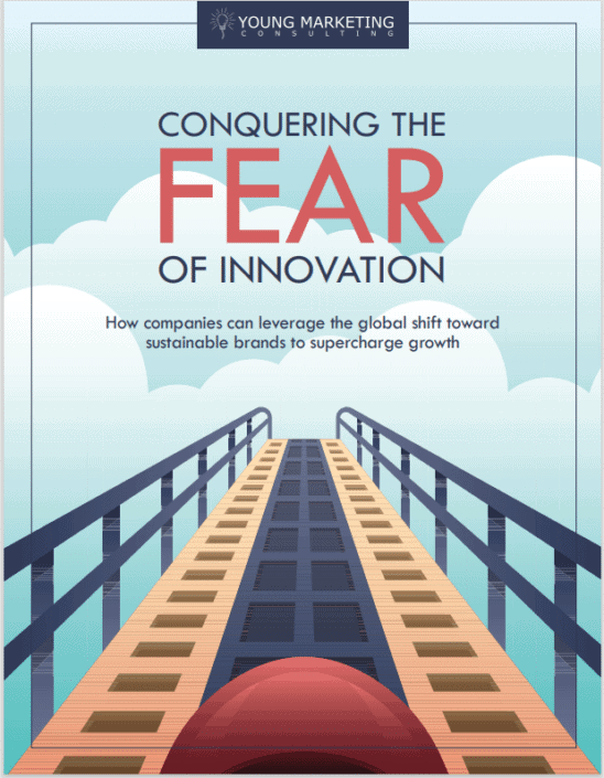 Conquering the Fear of Innovation through Sustainability | Young ...